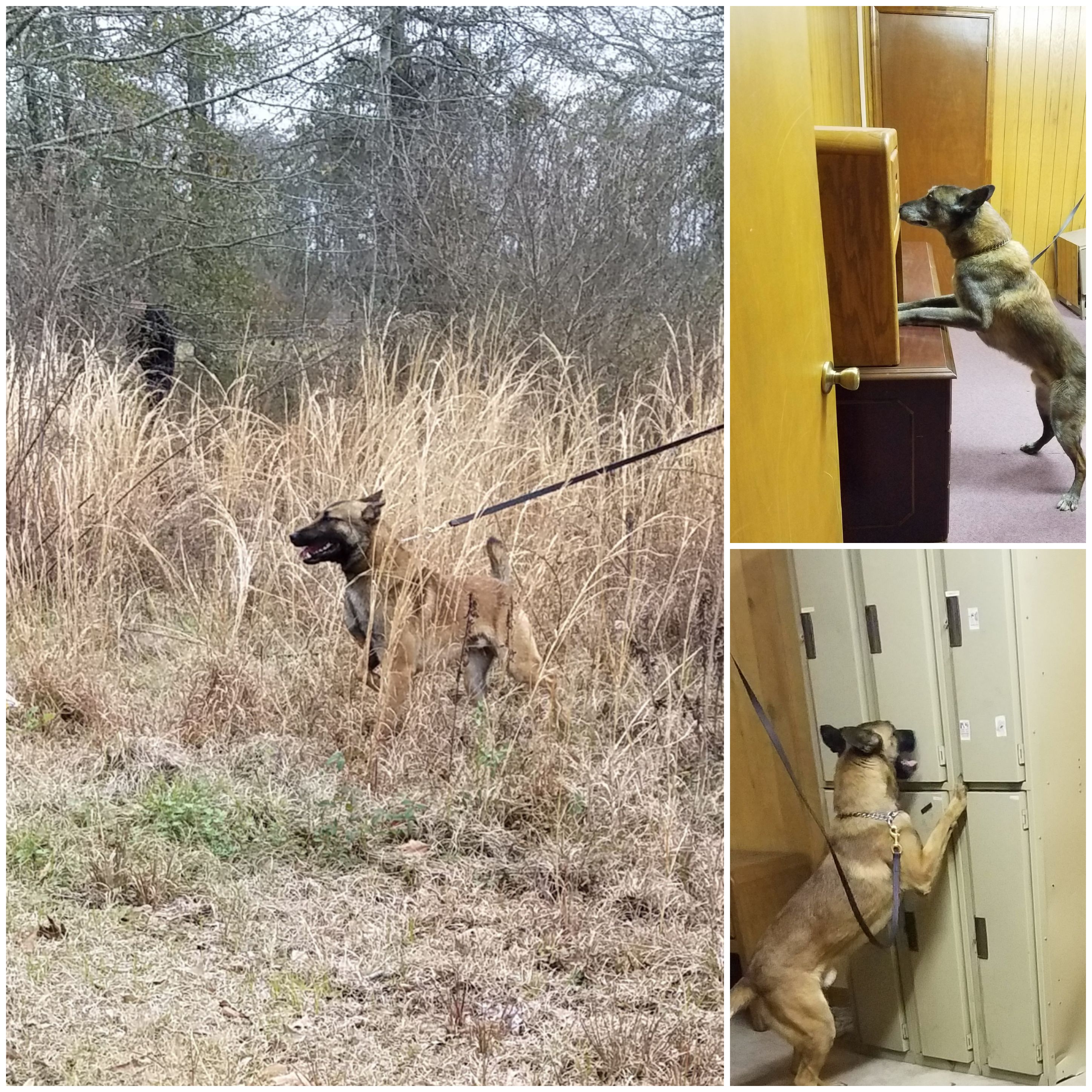K9 Seminar day 2 – Dothan Police Department